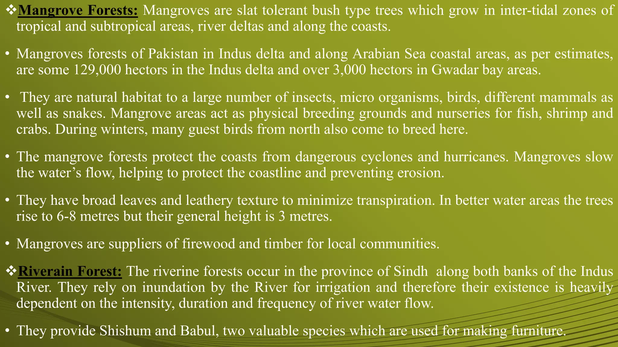 Forests of Pakistan {importance, types, causes and effects} | PPTX