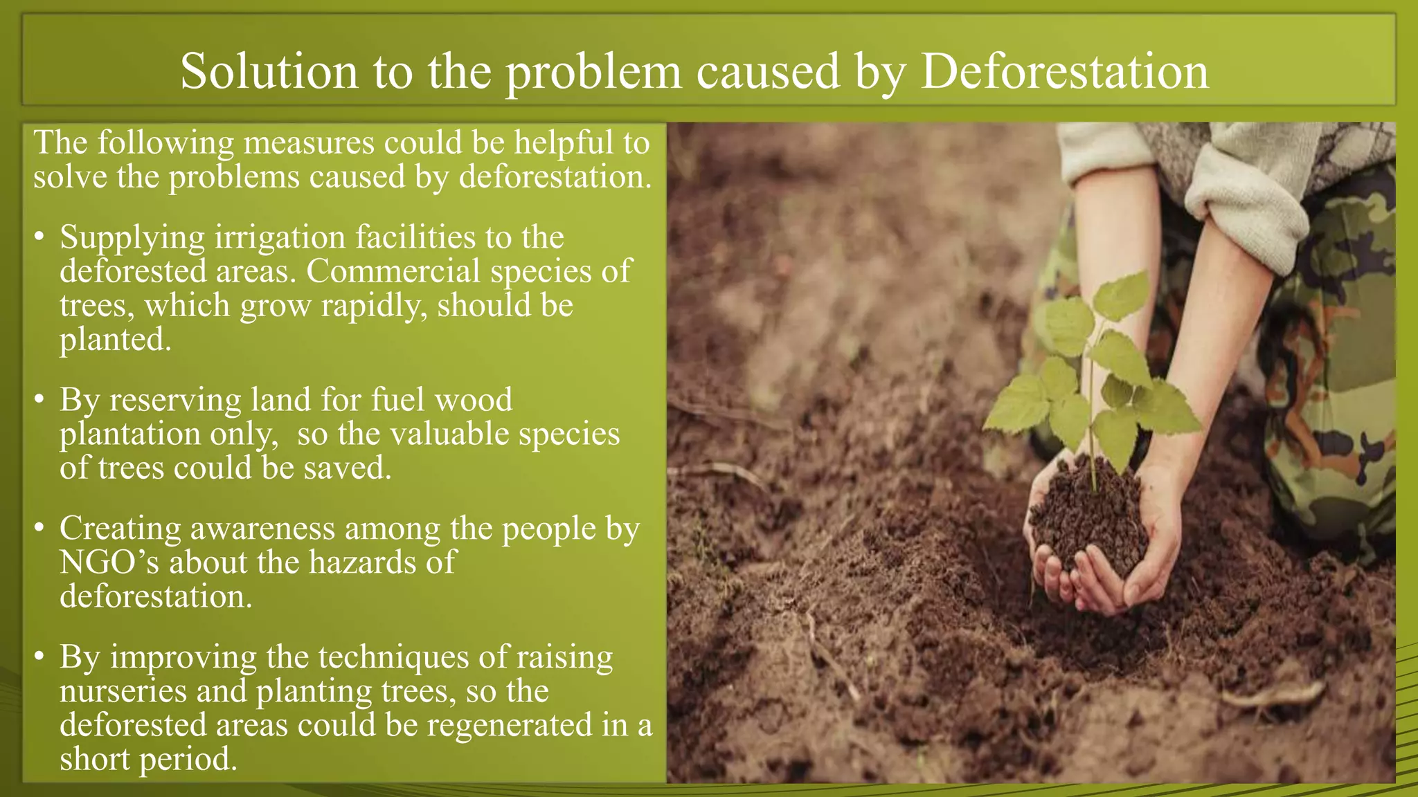 Forests of Pakistan {importance, types, causes and effects} | PPTX