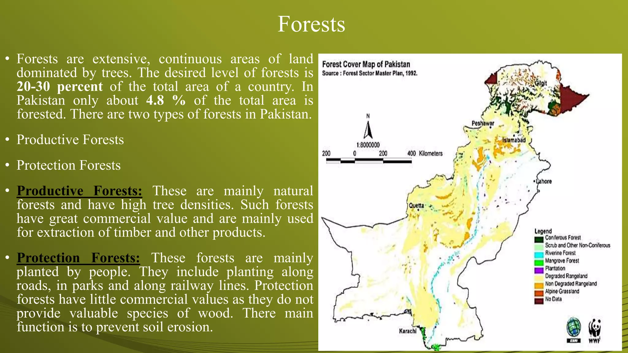 Forests of Pakistan {importance, types, causes and effects} | PPTX