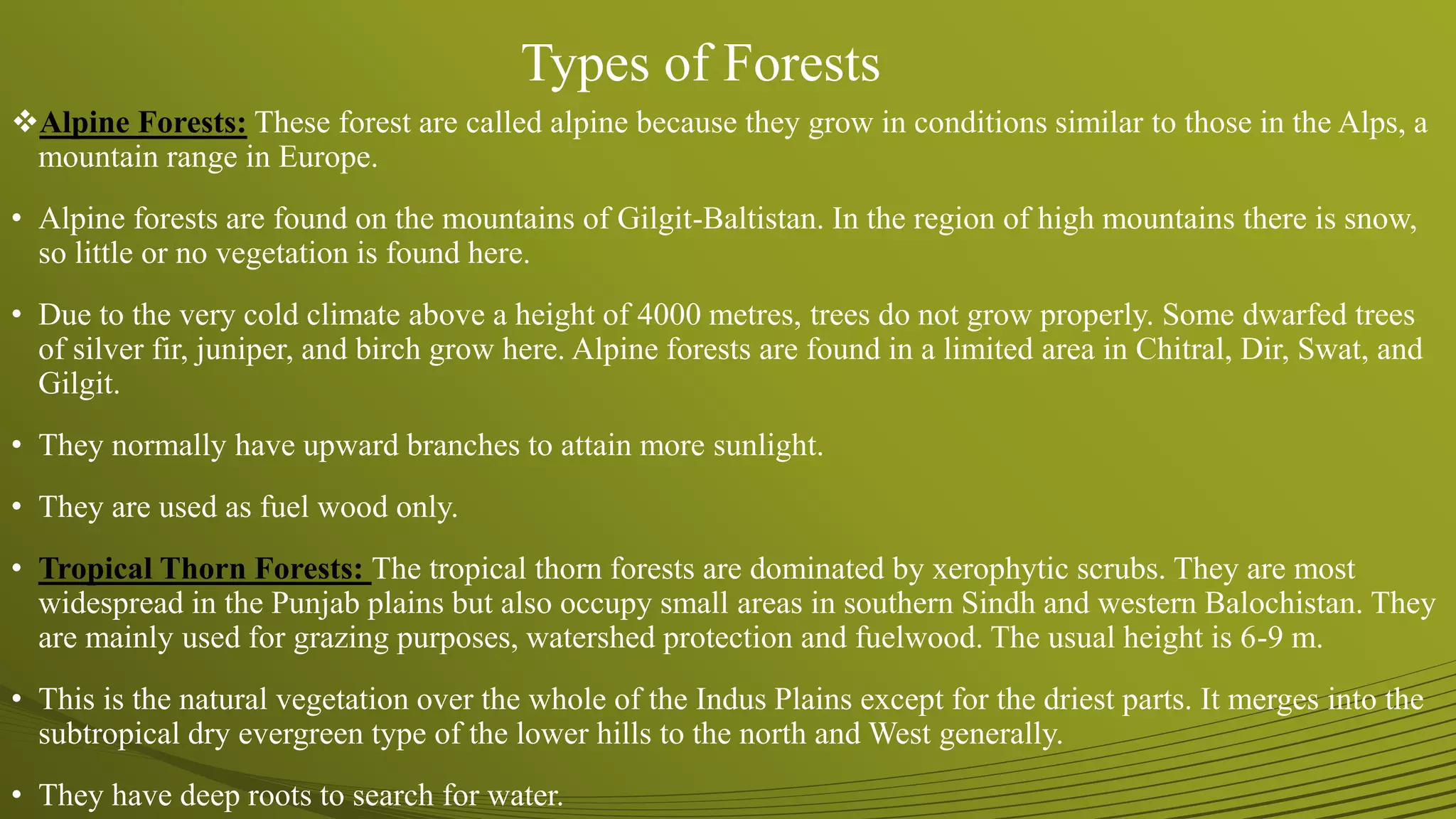 Forests of Pakistan {importance, types, causes and effects} | PPTX