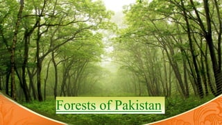 Forests of Pakistan {importance, types, causes and effects} | PPTX