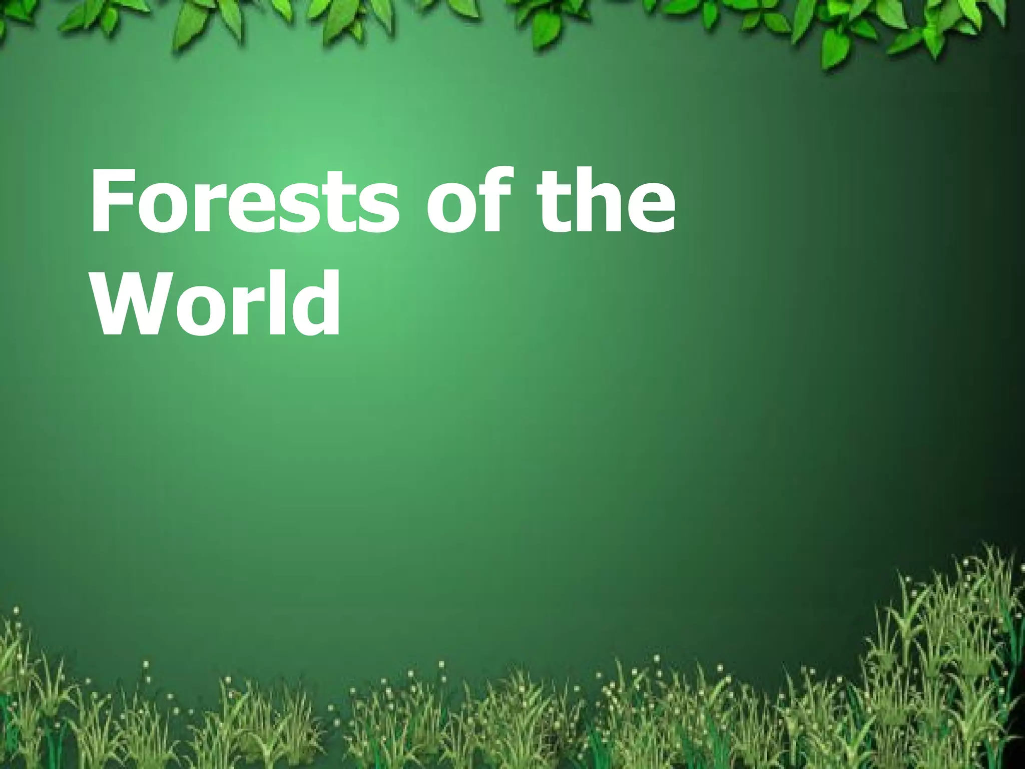 Sec1 - Forests Of The World Worksheet | PPT
