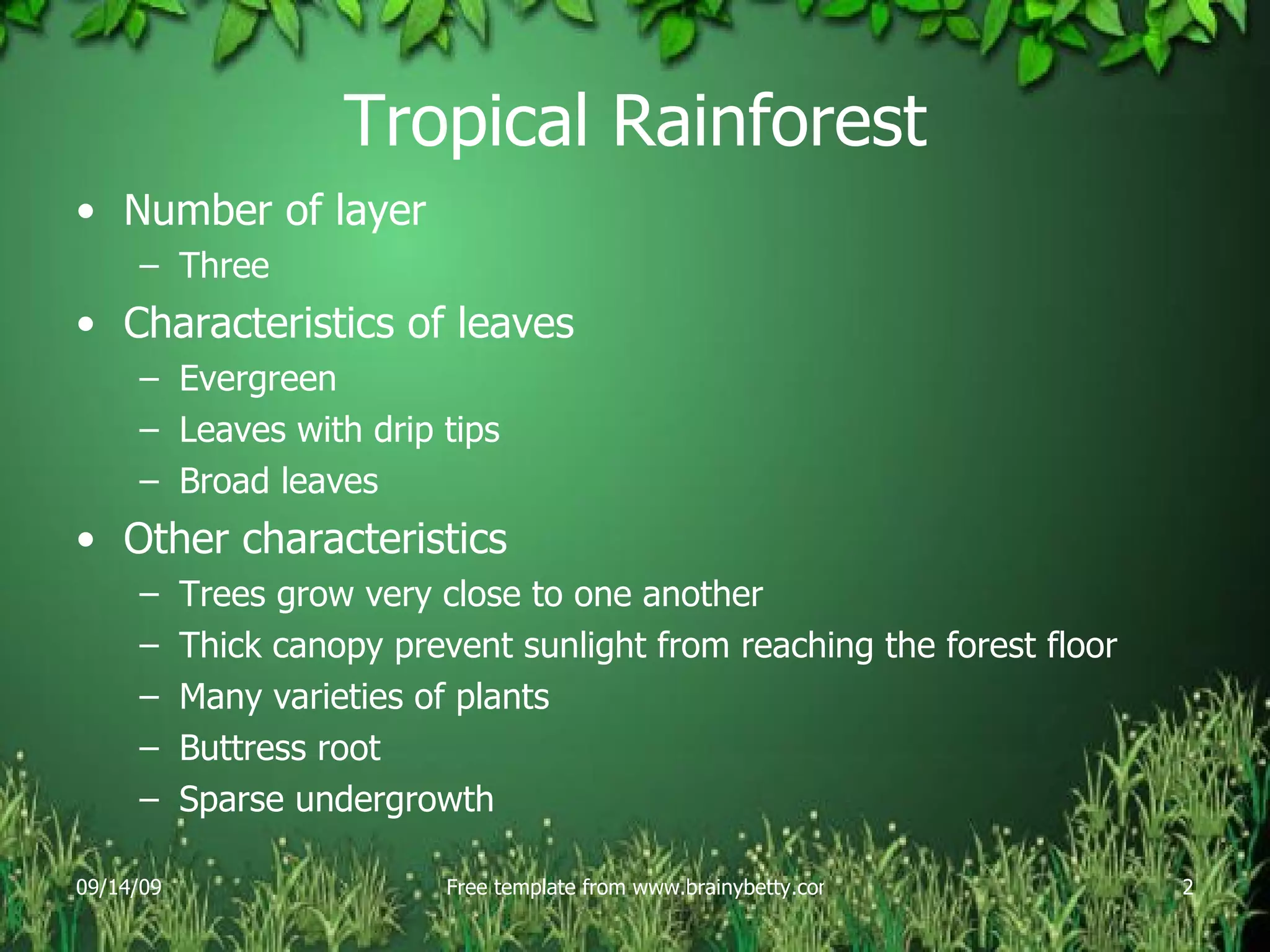 Sec1 - Forests Of The World Worksheet | PPT