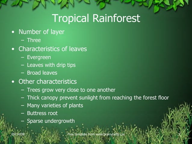 Sec1 - Forests Of The World Worksheet | PPT