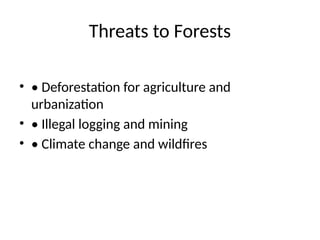 Forests_Presentation.pptxpi2npi23bu252hh | PPTX