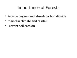 Forests_Presentation_1.🌲 Different Types of Forests and Their ...