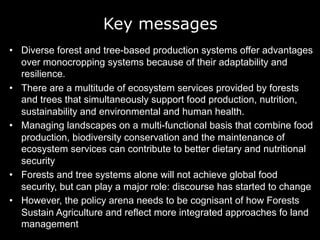 Forests Sustaining Agriculture: New evidence of the role of forests and ...