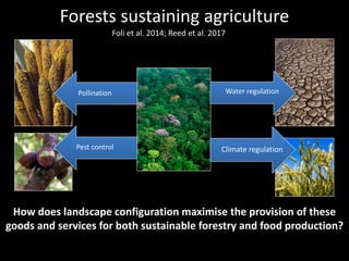 Forests Sustaining Agriculture: New evidence of the role of forests and ...