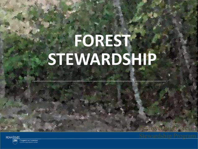 Forest stewardship | PPT