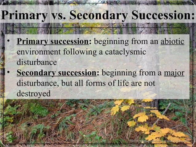 Forest succession and stages ppt | PPT | Birdwatching | Hobbies & Interests