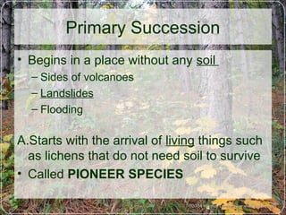 Forest succession and stages ppt | PPT
