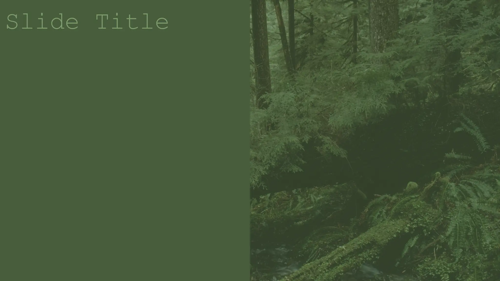 Forest Presentation Template for Google Slides | PDF | Web Design and HTML | Internet