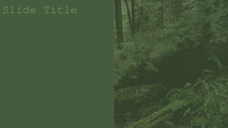 Forest Presentation Template for Google Slides | PDF | Web Design and ...