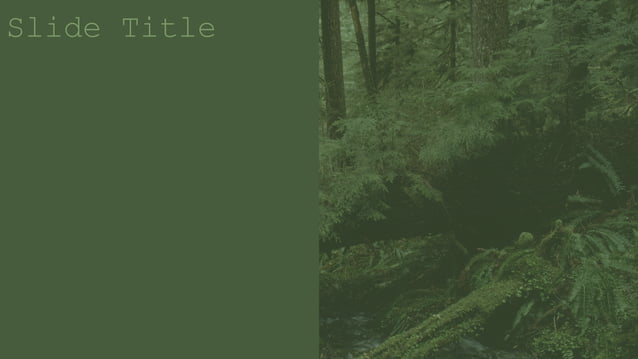 Forest Presentation Template for Google Slides | PDF | Web Design and ...