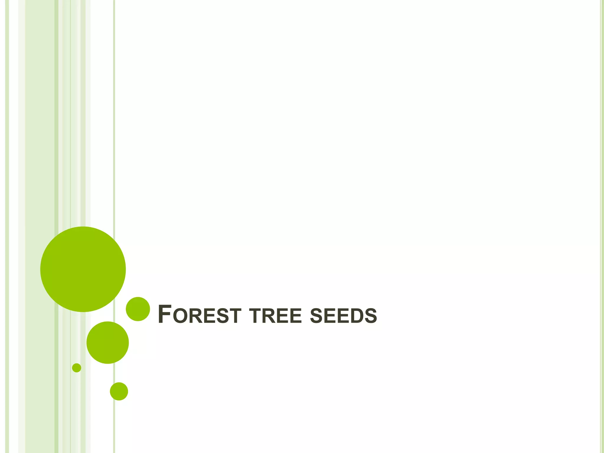 Forest tree seeds | PPTX