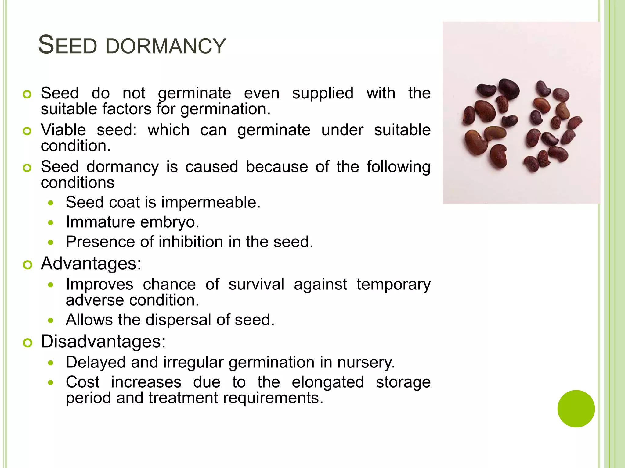 Forest tree seeds | PPTX