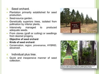 Forest tree seeds | PPTX