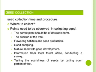 Forest tree seeds | PPTX