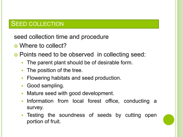 Forest tree seeds | PPTX | Gardening | Home & Garden