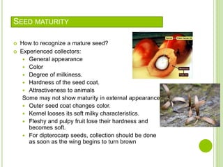 Forest tree seeds | PPTX