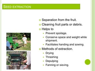 Forest tree seeds | PPTX