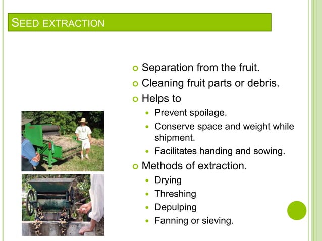 Forest tree seeds | PPTX | Gardening | Home & Garden