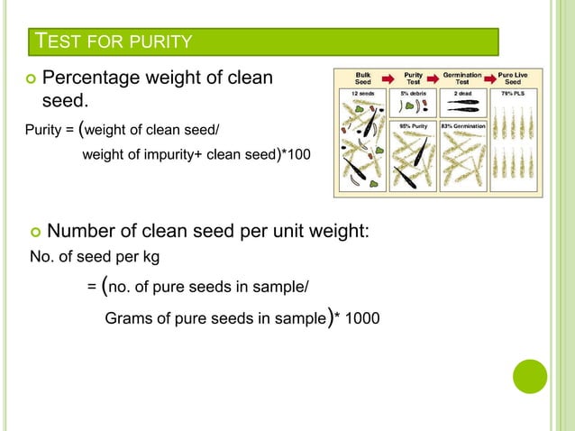 Forest tree seeds | PPTX | Gardening | Home & Garden