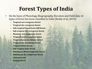 Forest types of North East India | PDF