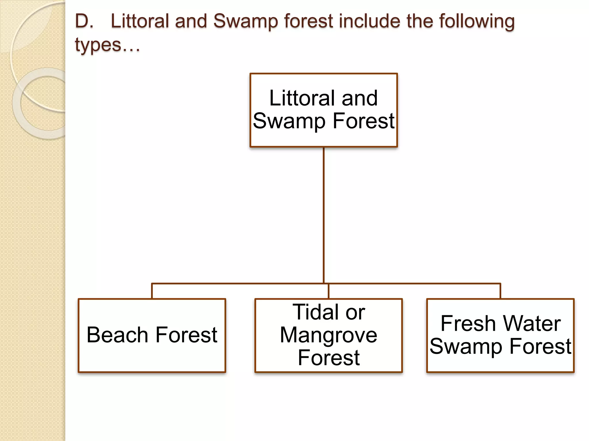 Forest Types | PPTX