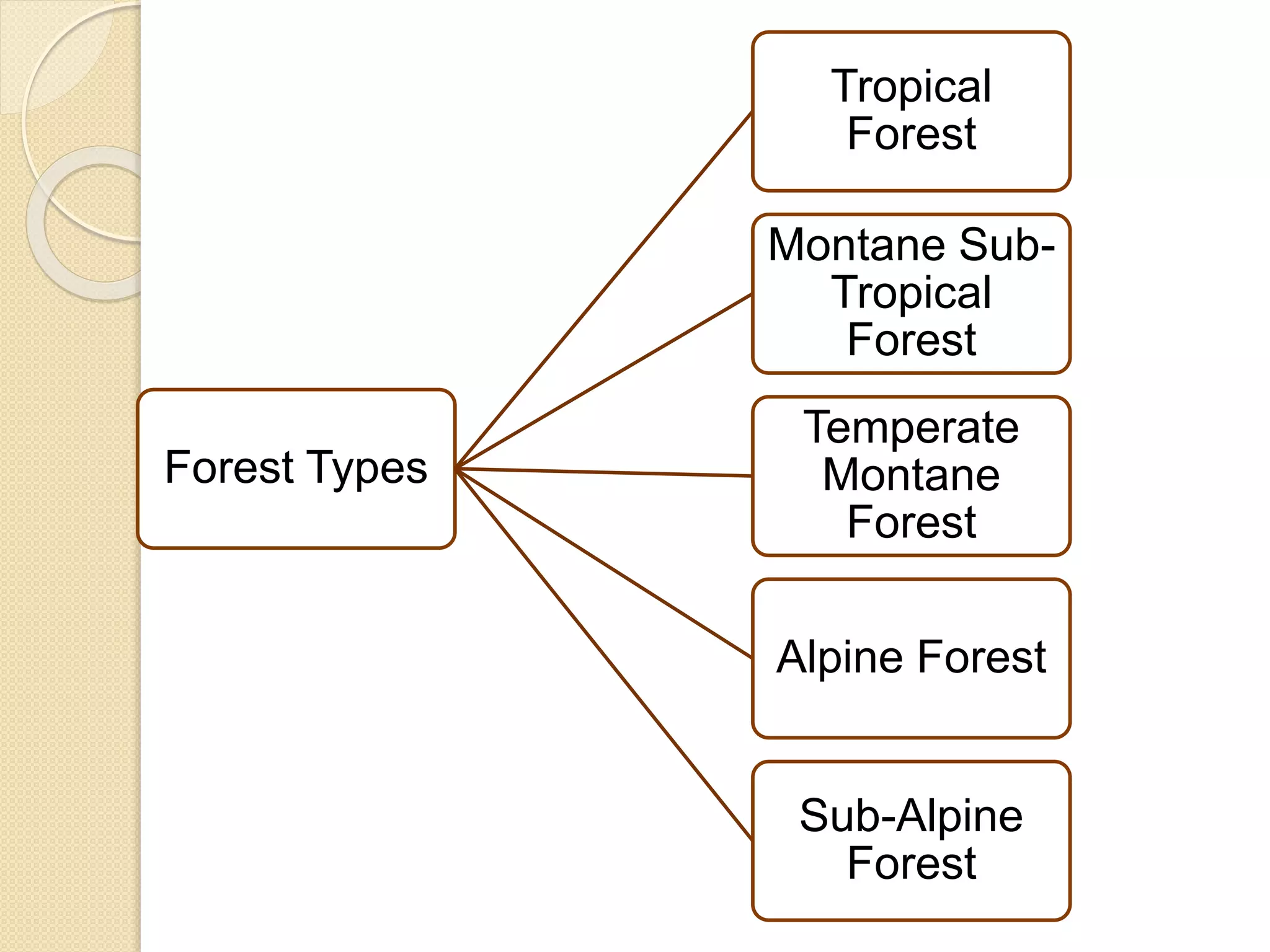 Forest Types | PPTX