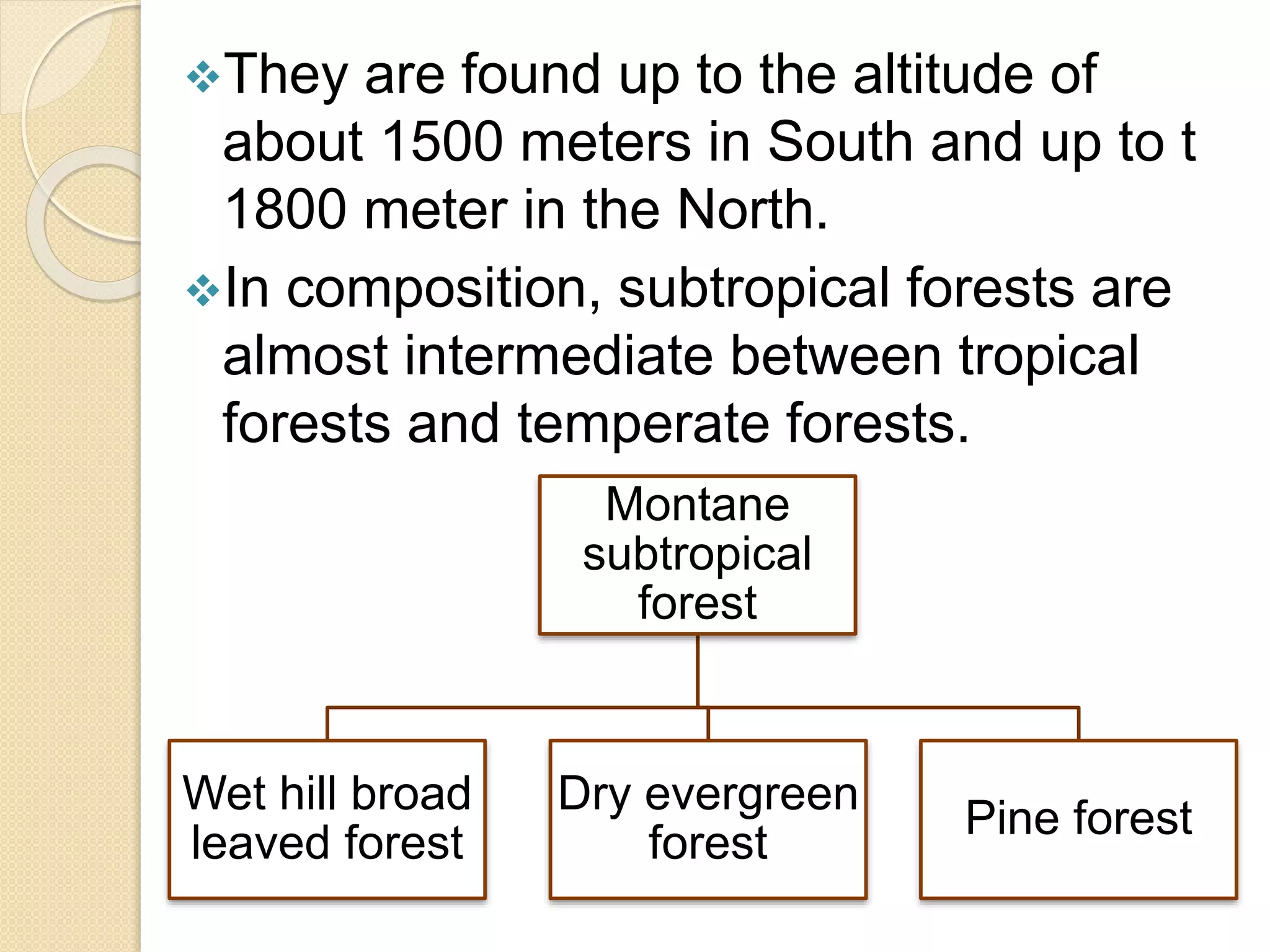 Forest Types | PPTX