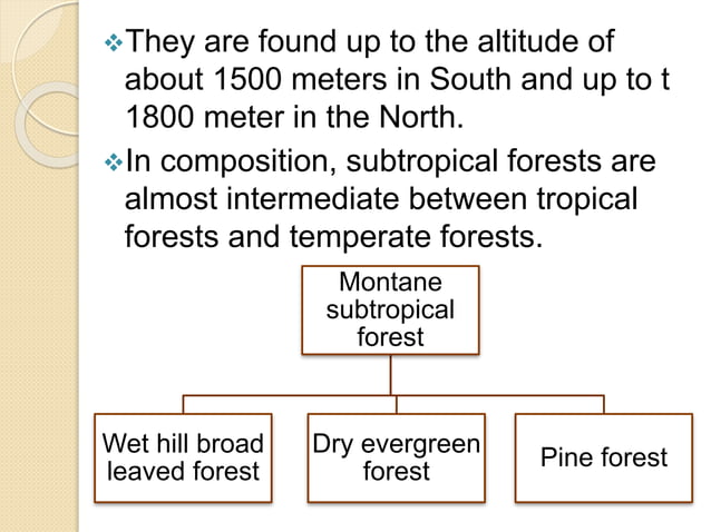 Forest Types | PPTX | Weather | Science
