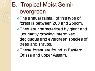 Forest Types | PPTX | Weather | Science
