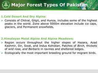 Forest types and their management in Pakistan | PPTX