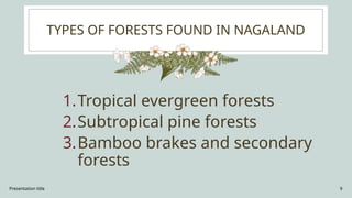 FOREST TYPES OF NAGALAND AND RAJASTHAN.pptx
