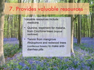 Uses of forests | PPT