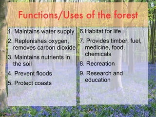 Uses of forests | PPT