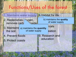 Uses of forests | PPT
