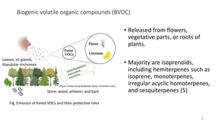 Forest volatile organic compounds and health benefits | PPTX | Indoor ...
