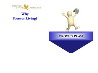 Forever Living Financial Plan | PPTX