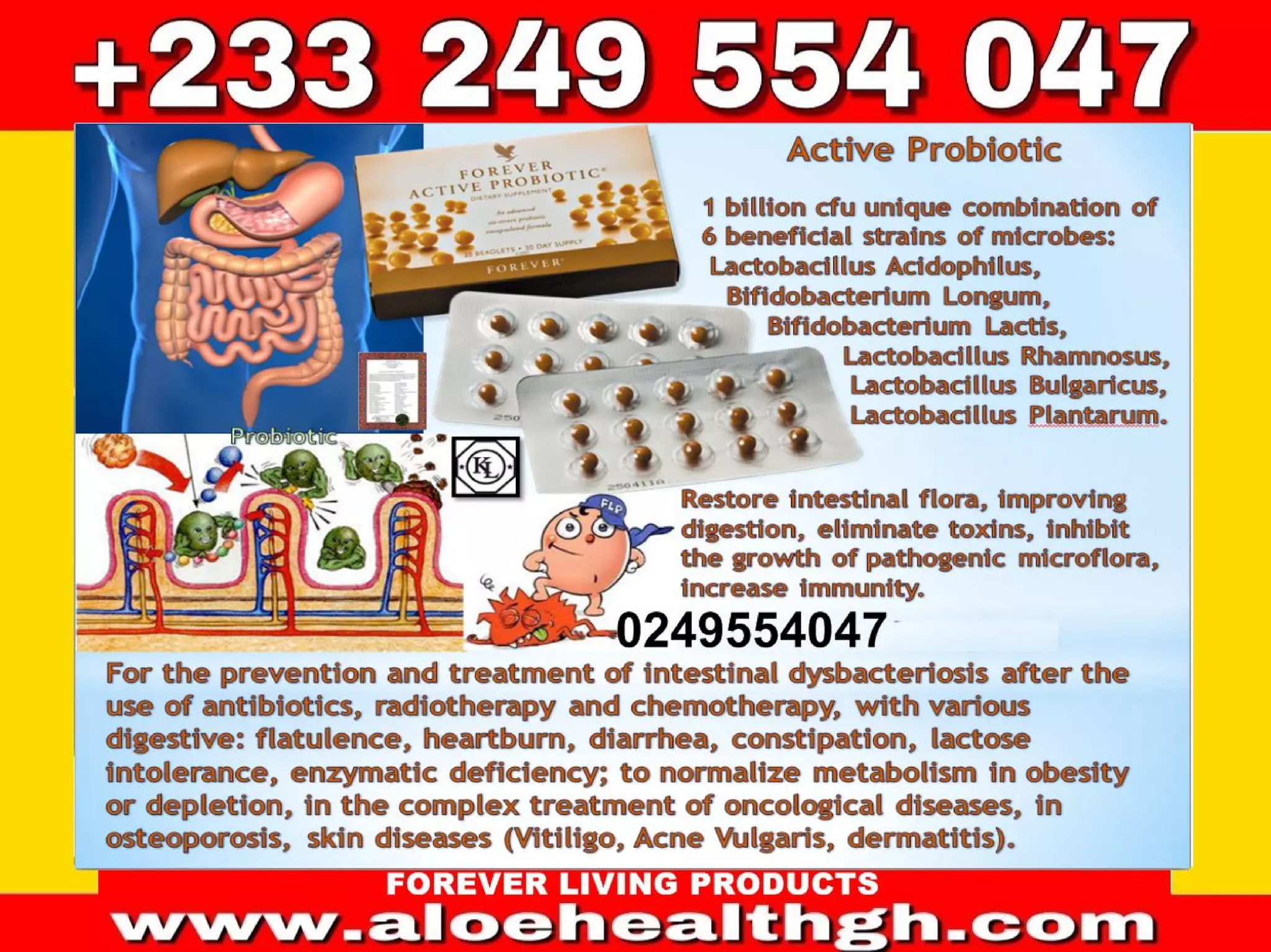 Forever active probiotic forever living products | PPT