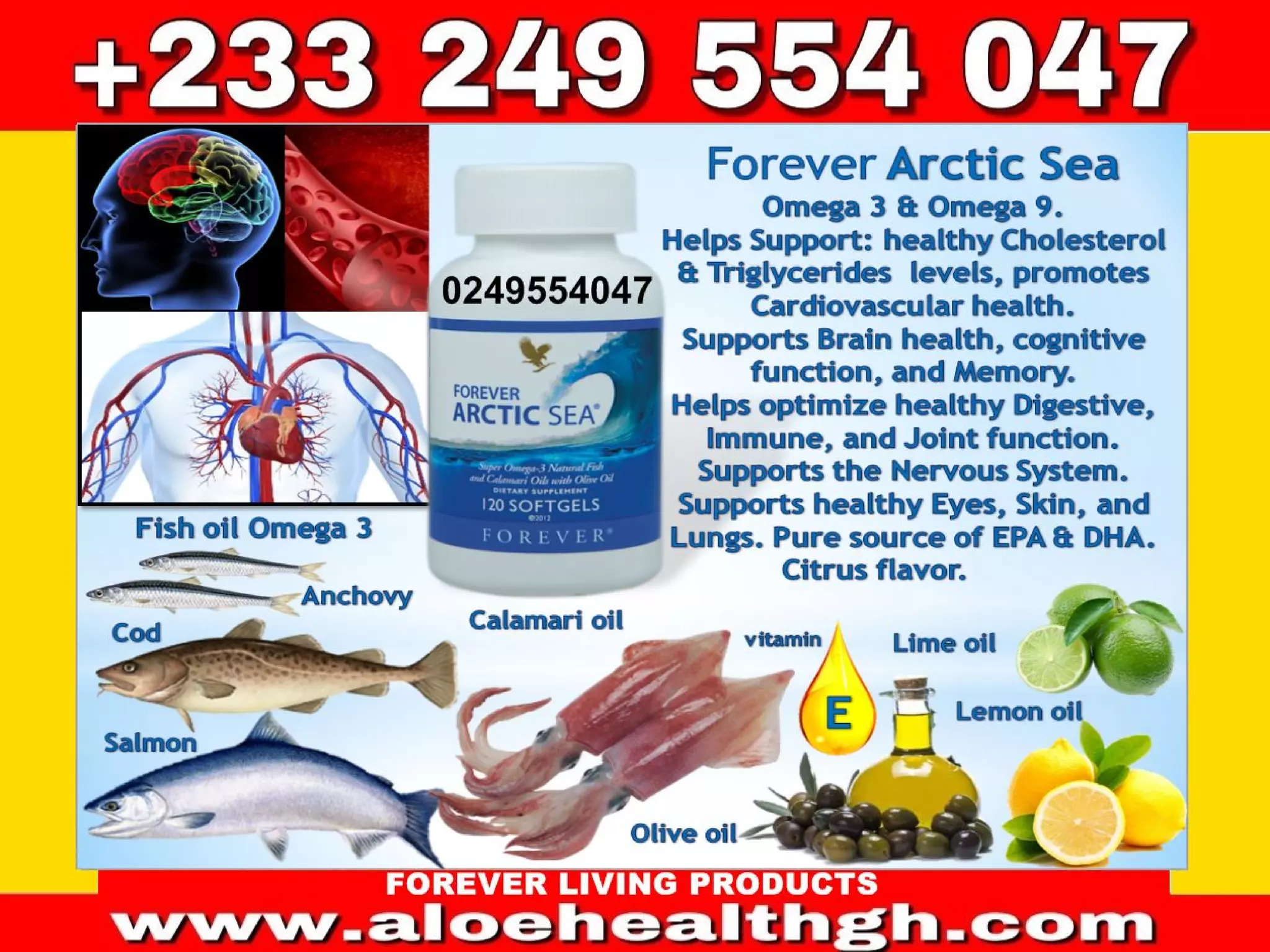 Forever arctic sea forever living products | PDF