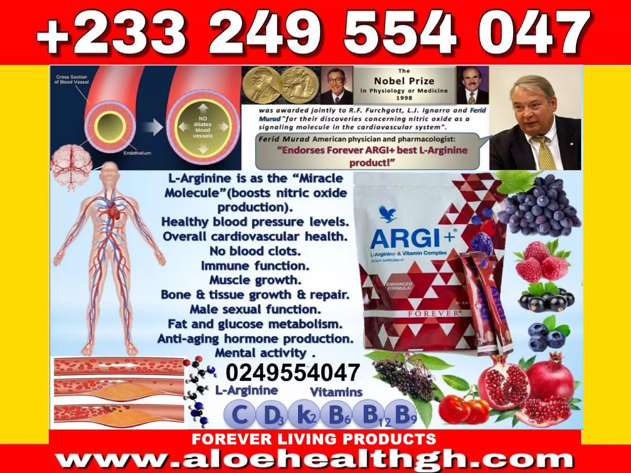 Forever Argi plus-Forever living products | PDF