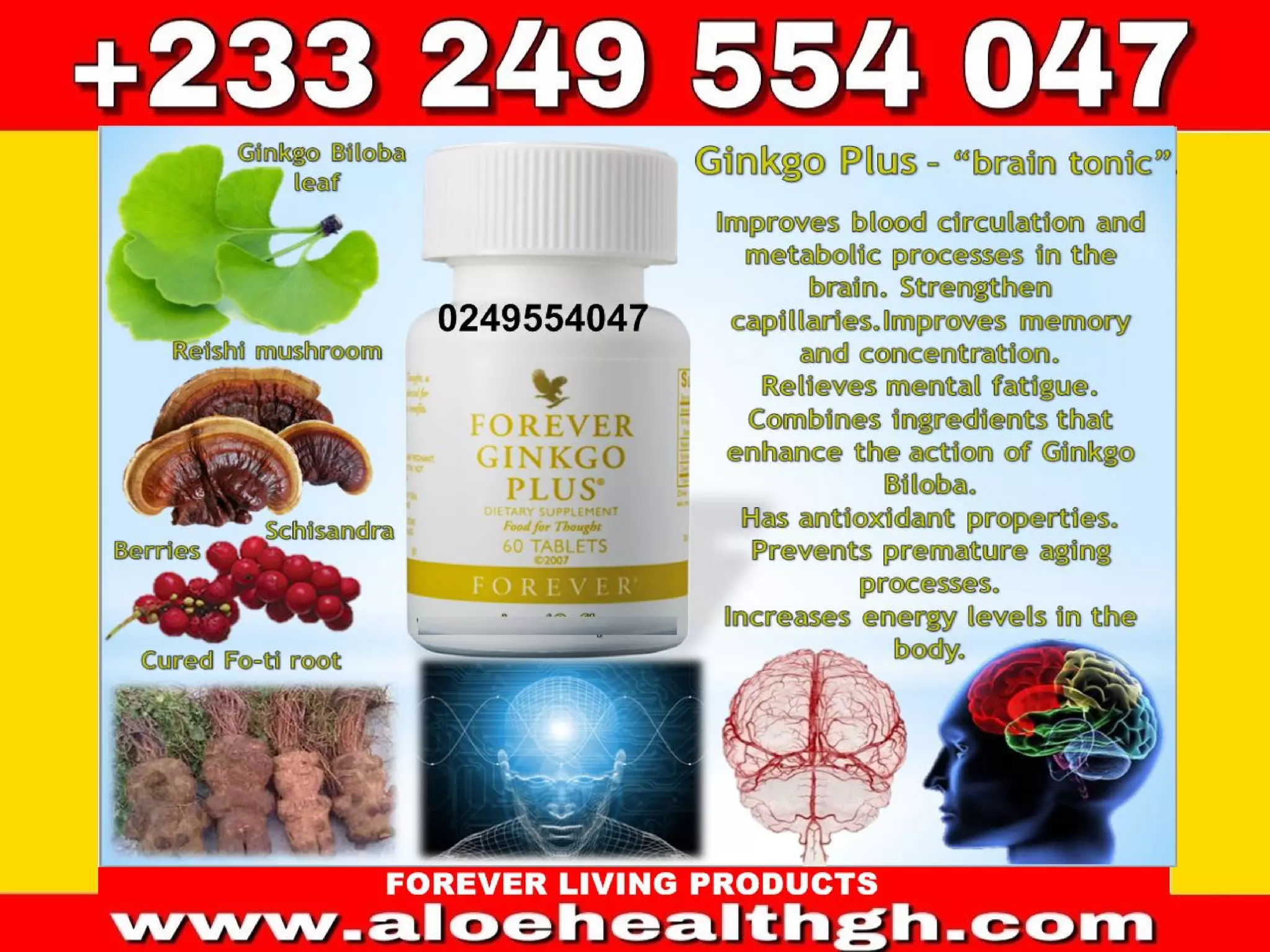 Forever ginkgo plus forever living products | PPT