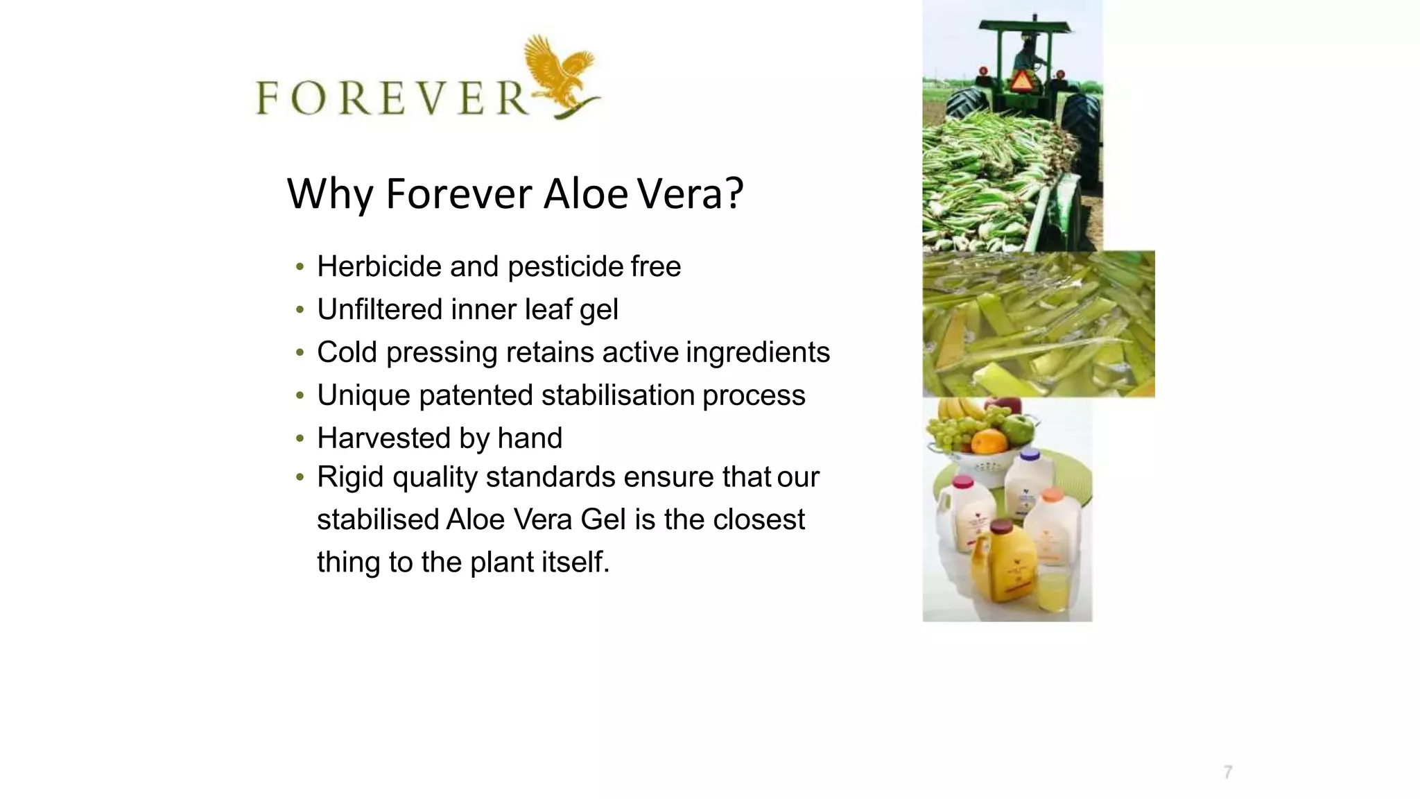Forever presentation | PPTX