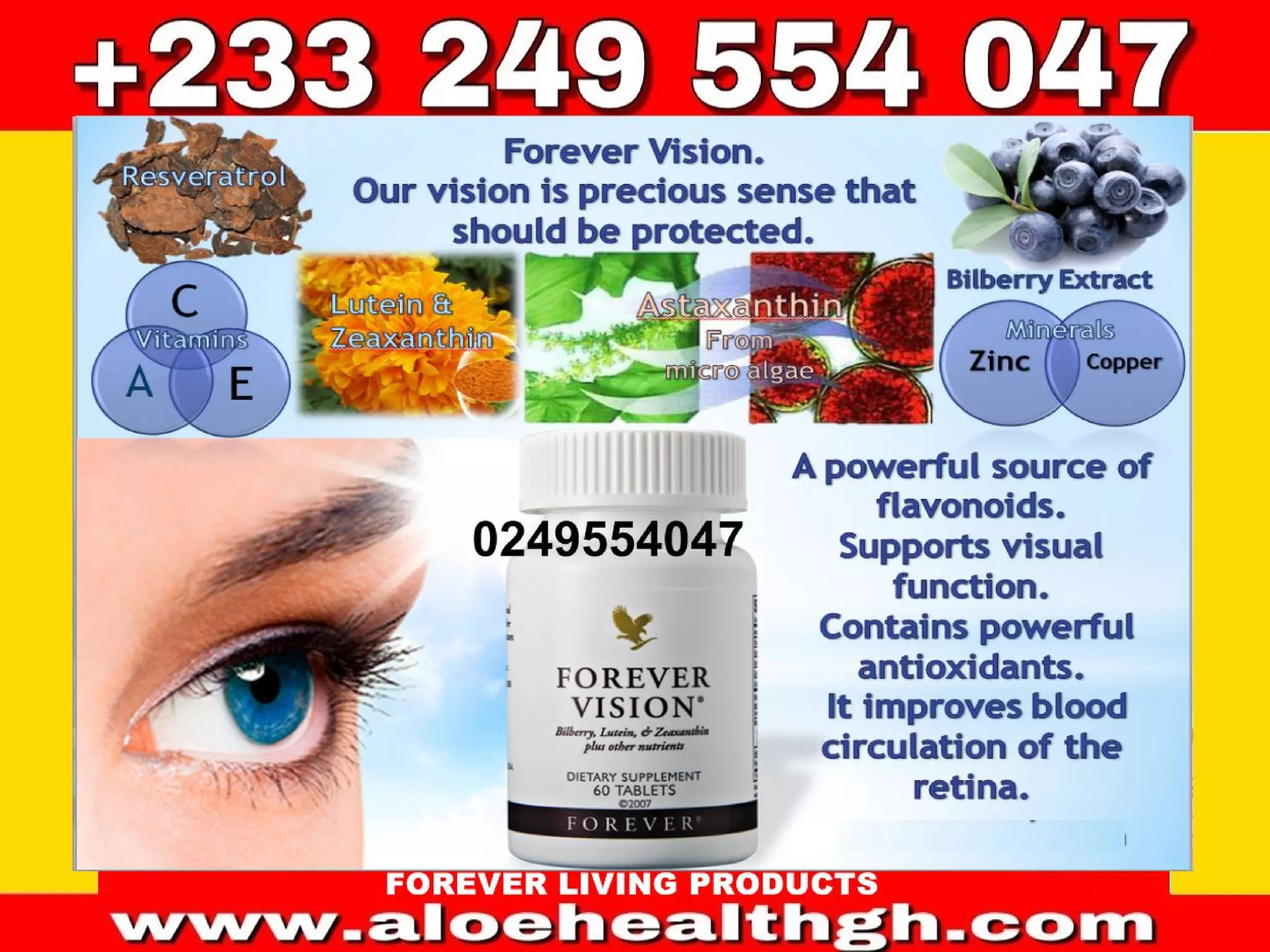 Forever vision - forever living products | PDF