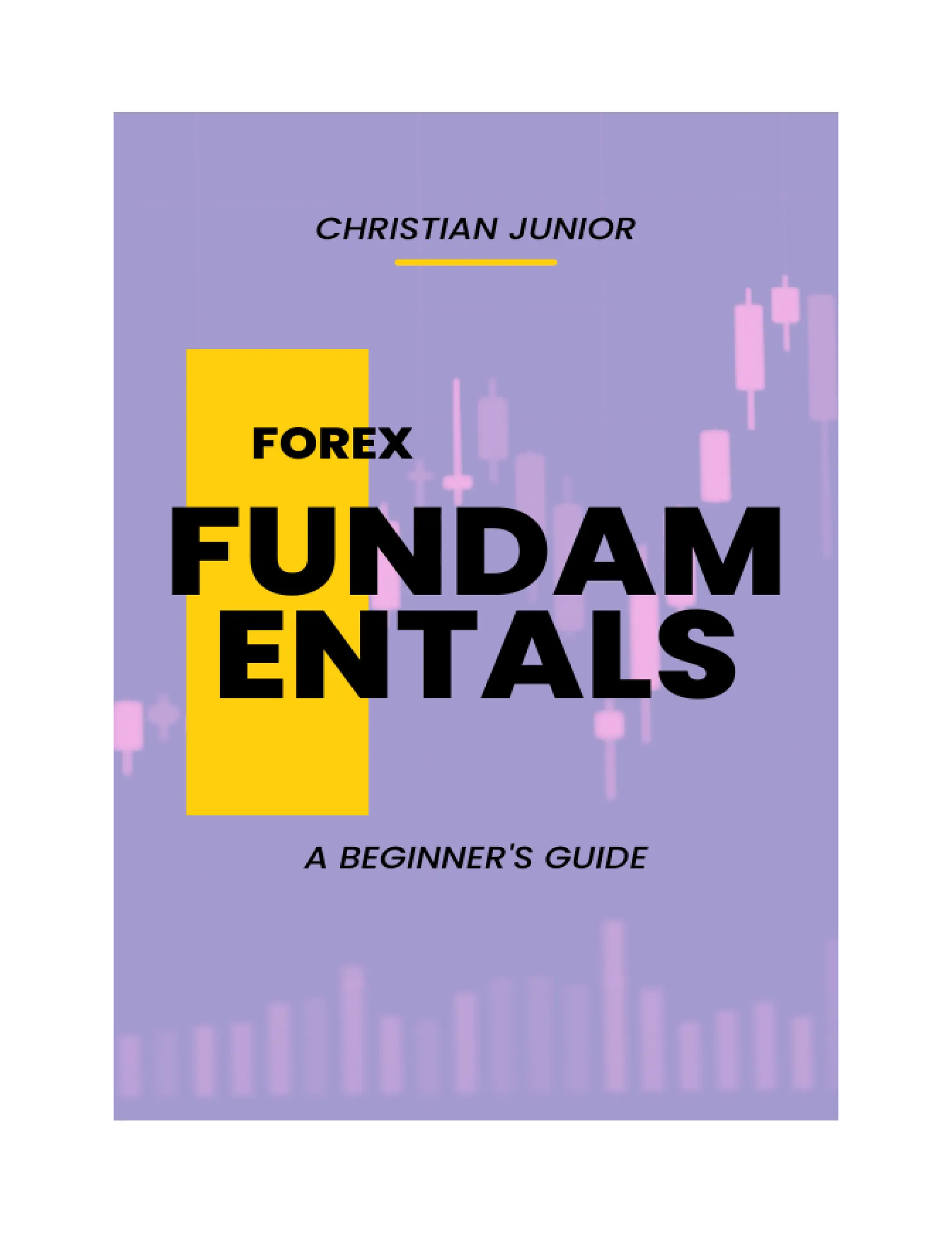 FOREX FUNDAMENTALS: A BEGINNER'S GUIDE.pdf