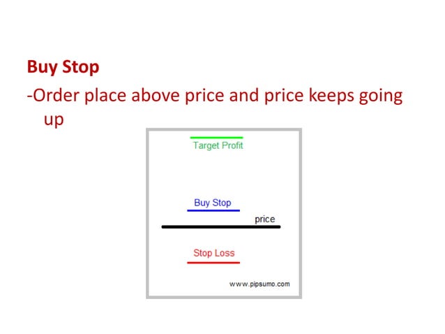 Forex lesson 1 forex overview | PDF