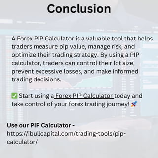 Forex PIP Calculator A Must-Have Tool for Traders | PDF
