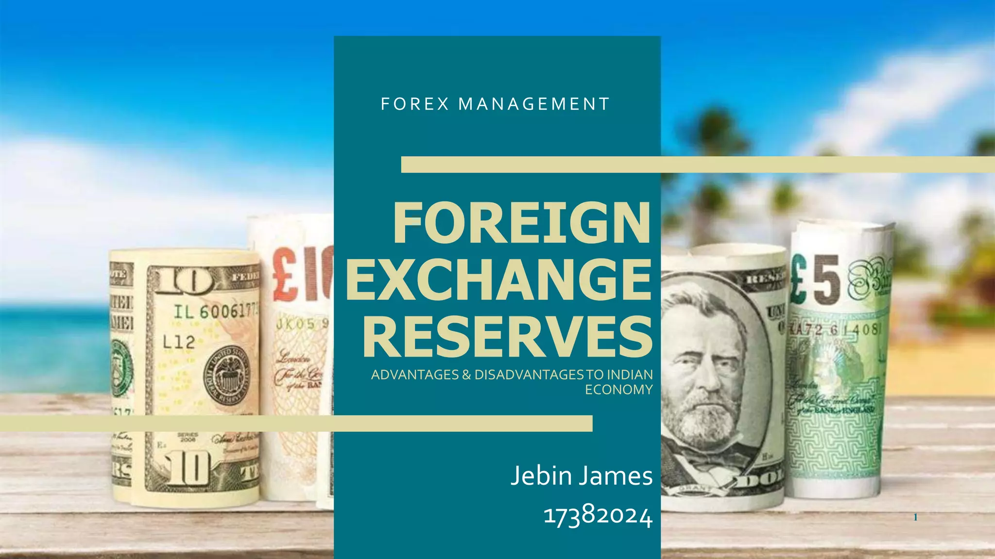 Foreign Exchange Reserves Pros and Cons | PPTX